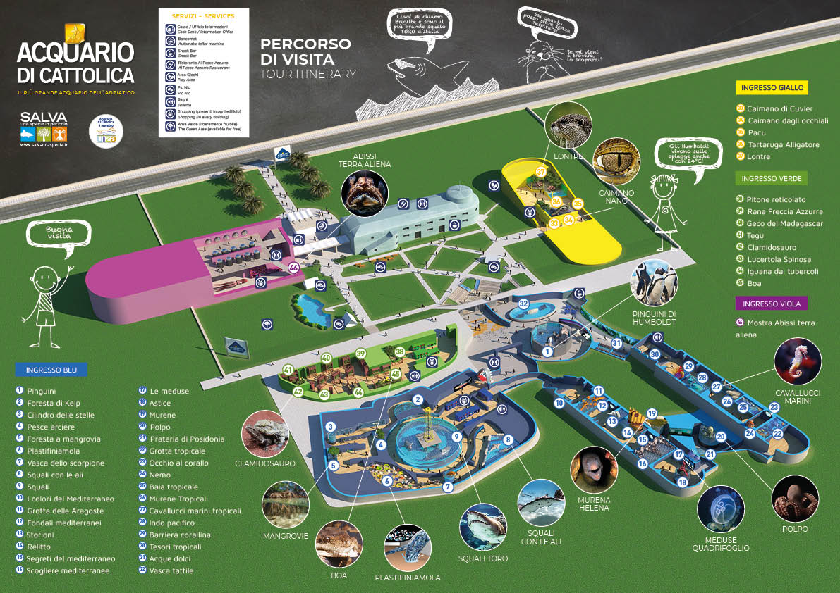 Mappa dell'acquario, divertitevi a scoprire i 4 percorsi grazie alla ...