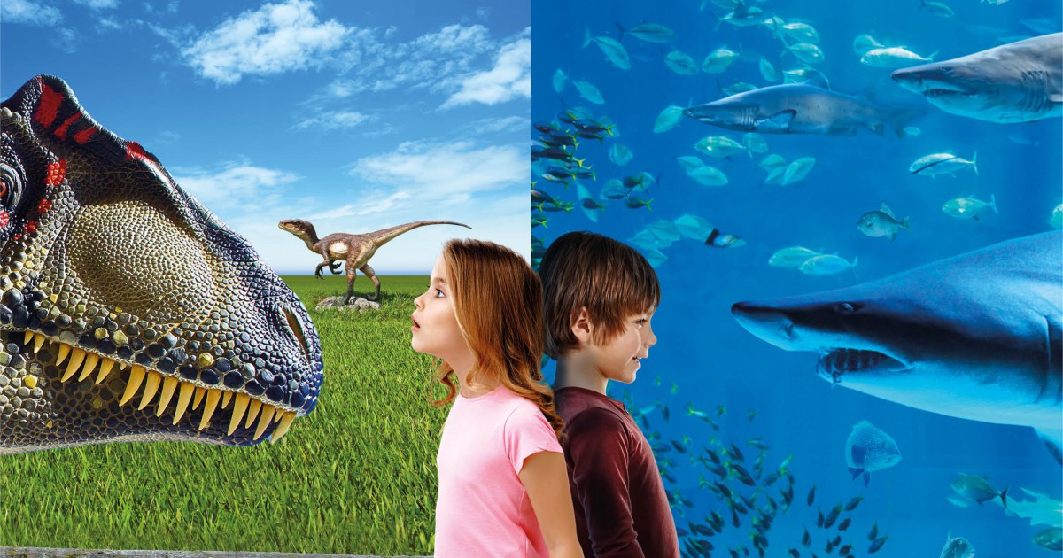 Dinosaurs World